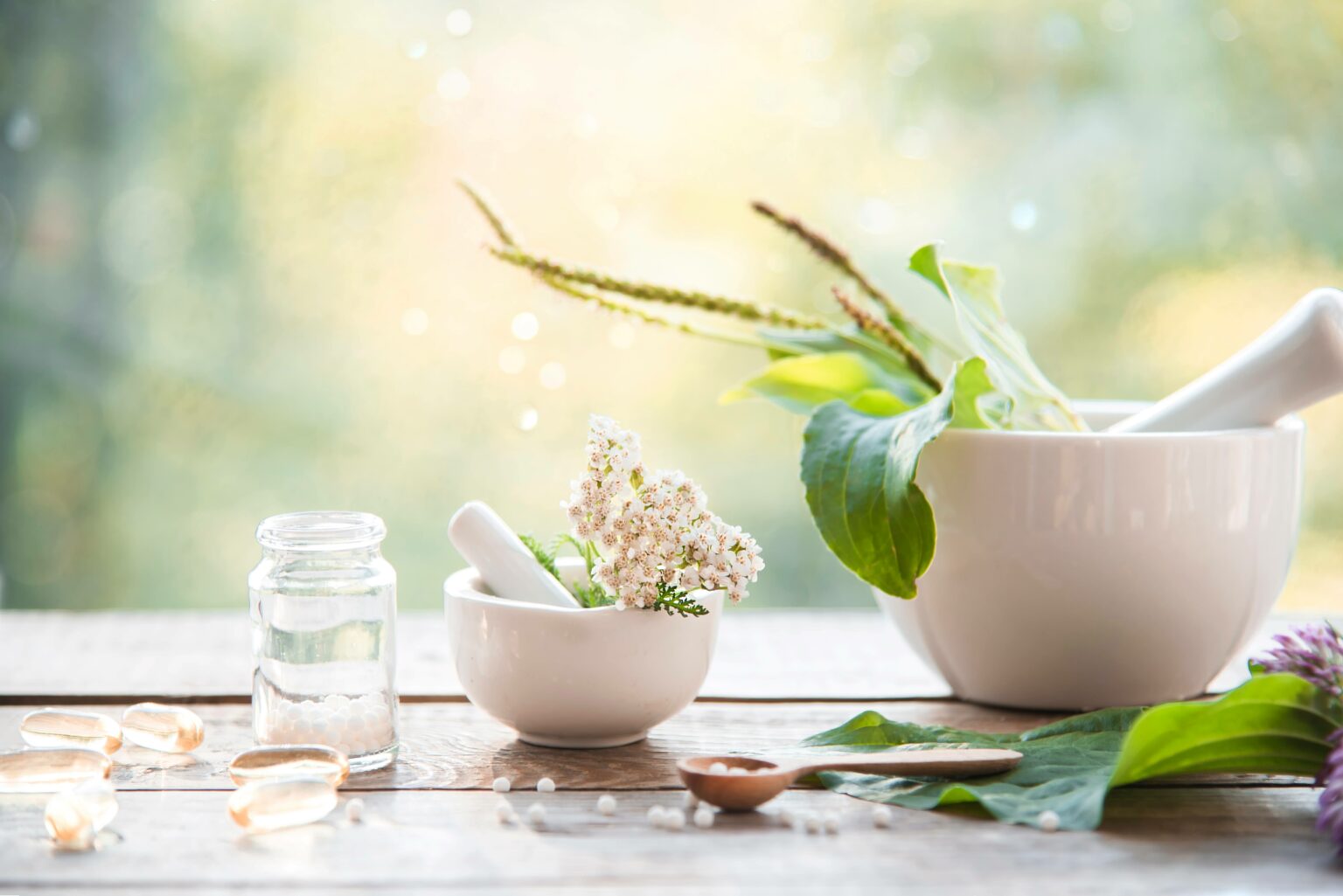 Mayoly Spindler acquiert Pharm Nature | Actif's connect