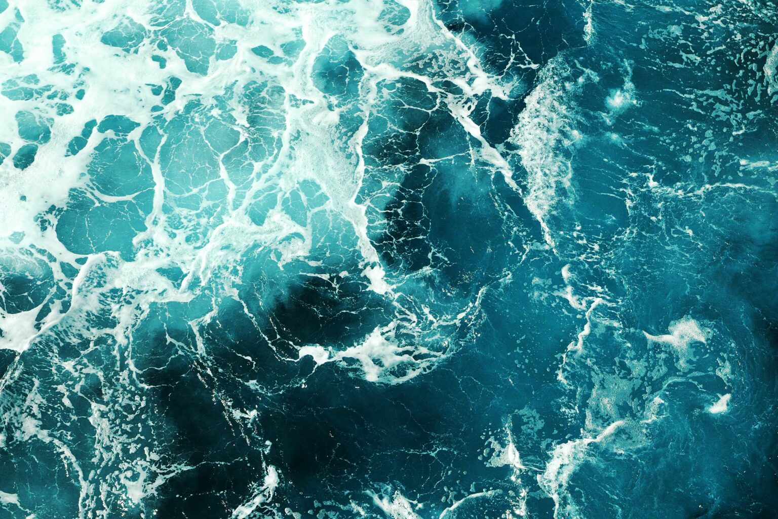 Dr. Paul Lohmann lance les 1ers magnésium chélatés d'origine marine ...
